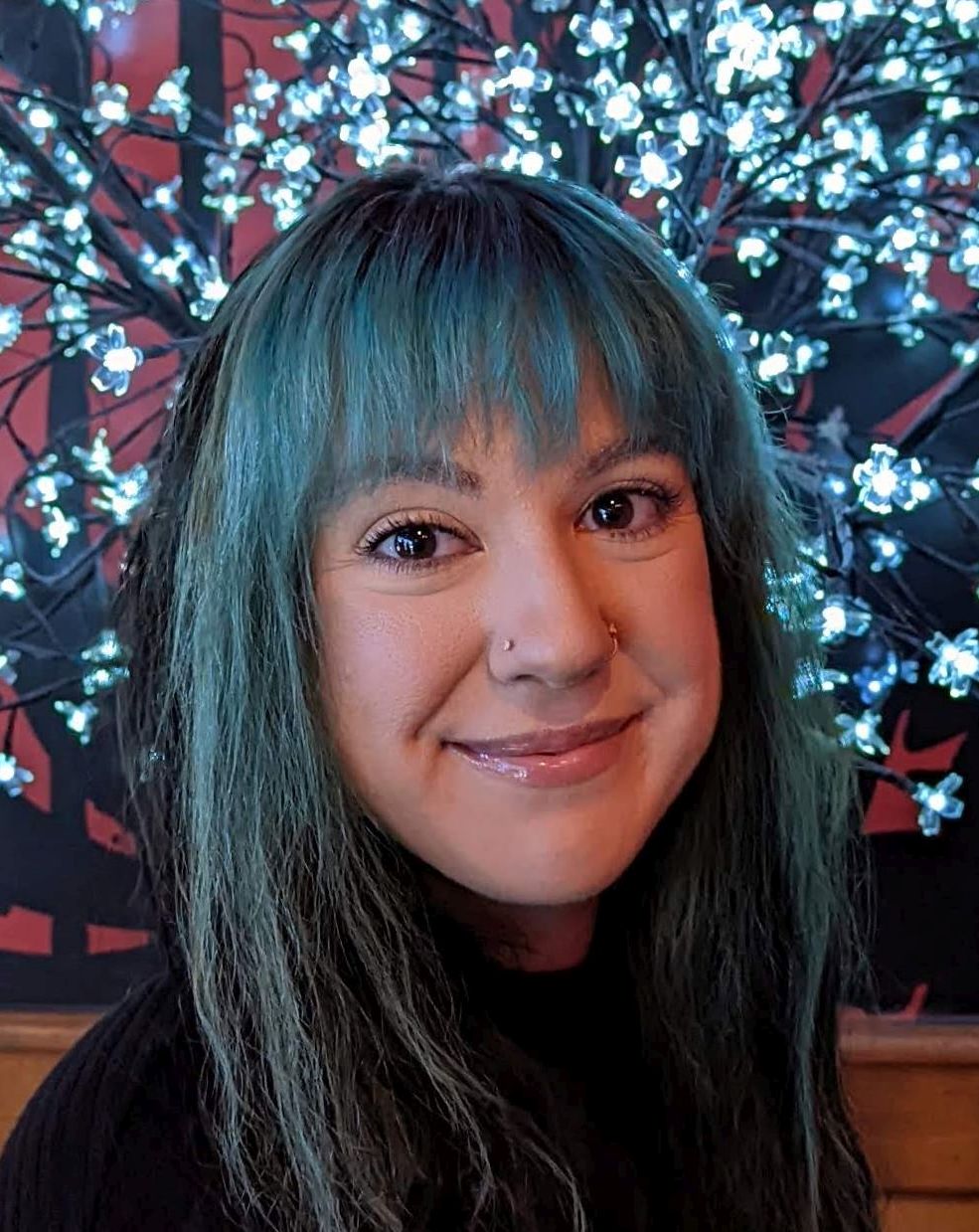 About Us – Telephone Warehouse, Inc.